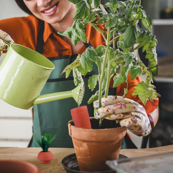 Lera ko morot set om 4 | CDON