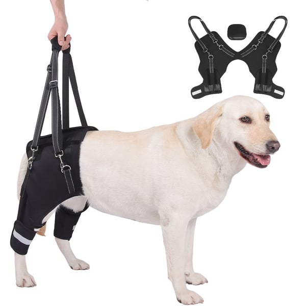 Hund Bakben Støtte Sele - Mobilitetshjelpemiddel for Eldre og Skadde ...