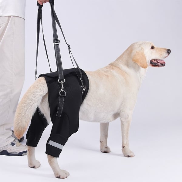 Hund Bakben Støtte Sele - Mobilitetshjelpemiddel for Eldre og Skadde ...