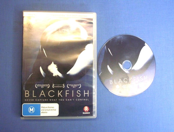 Blackfish Never Capture What You Can't Control DVD Brand New | CDON