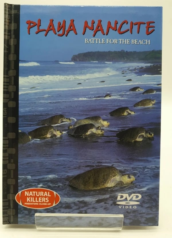 NATURAL KILLERS PREDATORS CLOSE UP PLAYA NANCITE BATTLE FOR THE BEACH ...