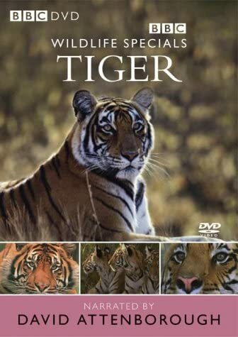 UK Wildlife Specials Tiger David Attenborough Narrates This Doc DVD ...