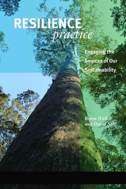 Resilience Practice | Brian Walker, David Salt | 9781597268004 | CDON