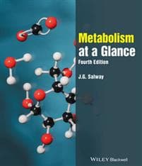 Metabolism at a Glance | CDON