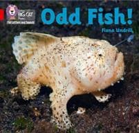 Odd Fish! | CDON