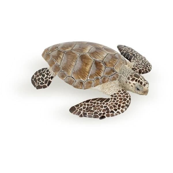 Loggerhead Turtle Figurine - PAPO - THE MARINE UNIVERSE - Mixed - Från ...