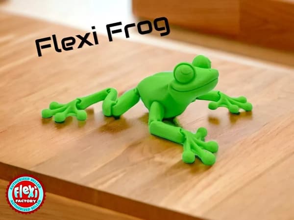 Cute Flexi Frog (Flexi Factory Official 3D Printed) | CDON