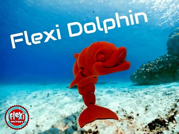 Cute Flexi Dolphin (Flexi Factory Official 3D Printed) | CDON