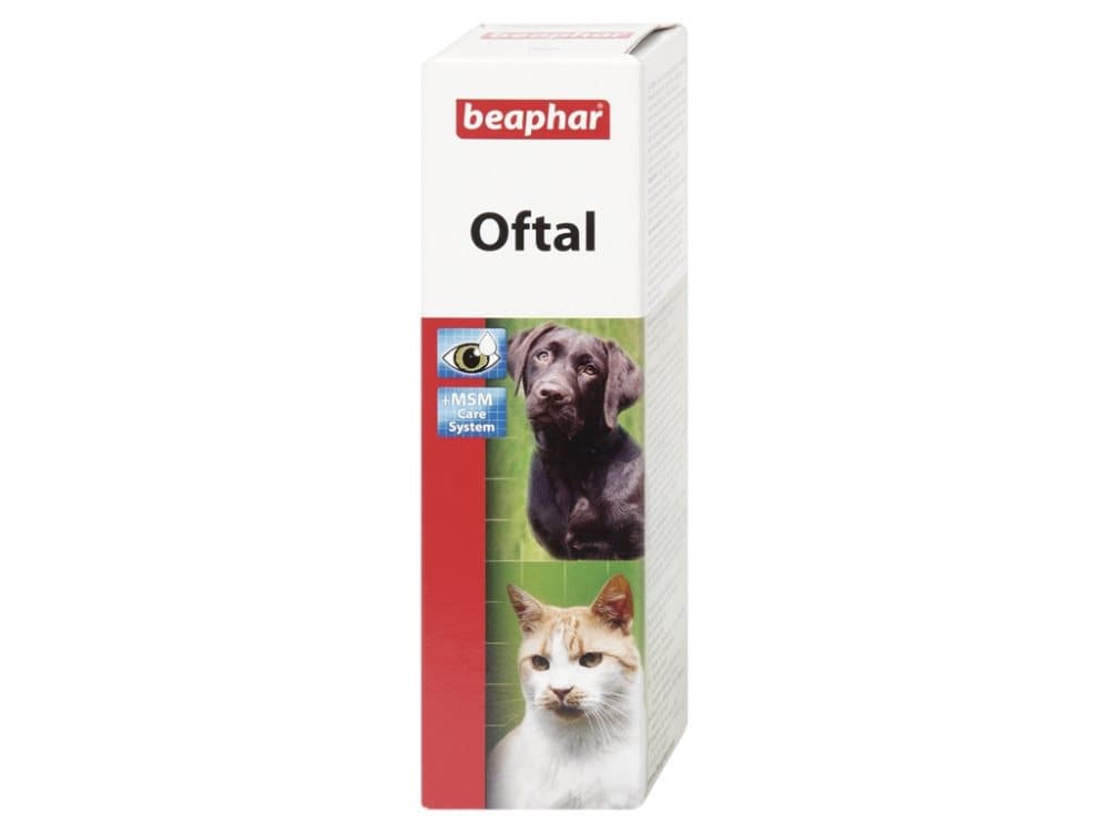 Beaphar Oftal, Katt (djur) och hund, Droppar, 50 ml, 1 styck, Låda | CDON