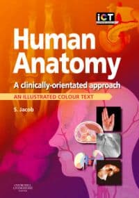 Human Anatomy | CDON