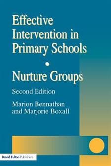 Effective Intervention in Primary Schools | CDON