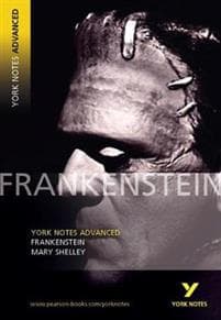 Frankenstein (York Notes Advanced) English Literature Study Guide - for ...
