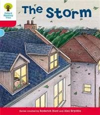Oxford Reading Tree: Level 4: Stories: The Storm | CDON