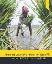 Politics and Culture in the Developing World | CDON
