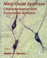 Nitric Oxide Synthase: Characterization and Functional Analysis | CDON