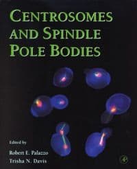Centrosomes and Spindle Pole Bodies | CDON