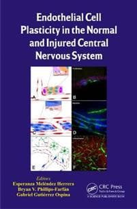 Endothelial Cell Plasticity in the Normal and Injured Central Nervous ...