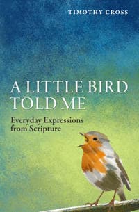 A Little Bird Told Me | CDON