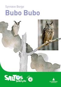 Bubo bubo | CDON