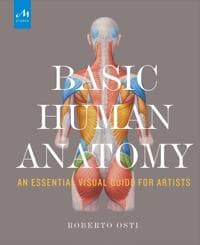 Basic Human Anatomy | CDON