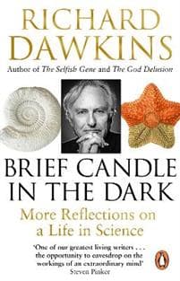 Brief Candle in the Dark | CDON
