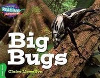 Cambridge Reading Adventures Big Bugs Green Band | CDON