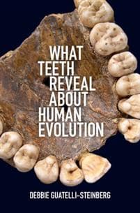 What Teeth Reveal about Human Evolution | CDON