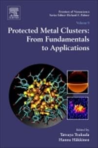 Protected Metal Clusters: From Fundamentals to Applications | CDON