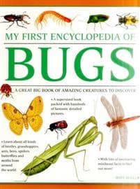 My First Encyclopedia of Bugs (giant Size) | CDON