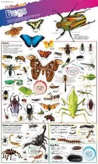 DKfindout! Bugs Poster | CDON