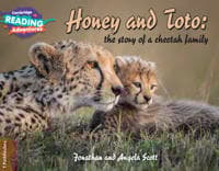 Cambridge Reading Adventures Honey and Toto: The Story of a Cheetah ...