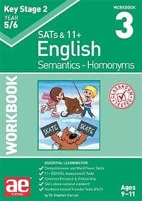 KS2 Semantics Year 5/6 Workbook 3 - Homonyms | CDON