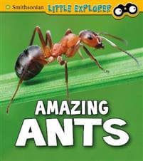Amazing Ants | CDON