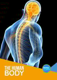 Human Body | CDON