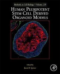 Human Pluripotent Stem Cell Derived Organoid Models | CDON