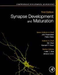 Synapse Development and Maturation | CDON