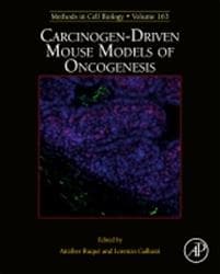 Carcinogen-Driven Mouse Models of Oncogenesis | CDON