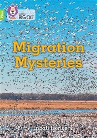 Migration Mysteries | CDON
