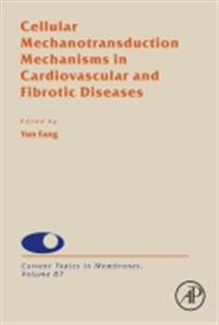 Cellular Mechanotransduction Mechanisms in Cardiovascular and Fibrotic ...