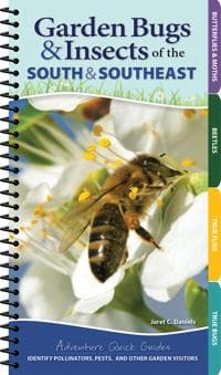 Garden Bugs & Insects of the South & Southeast | CDON
