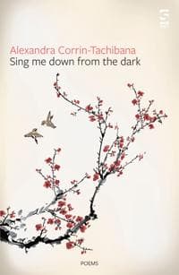 Sing Me Down from the Dark | CDON