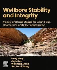 Wellbore Stability and Integrity | CDON