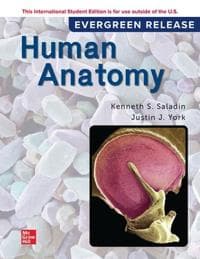 Human Anatomy: 2024 Release ISE | CDON