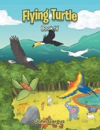 Flying Turtle | CDON
