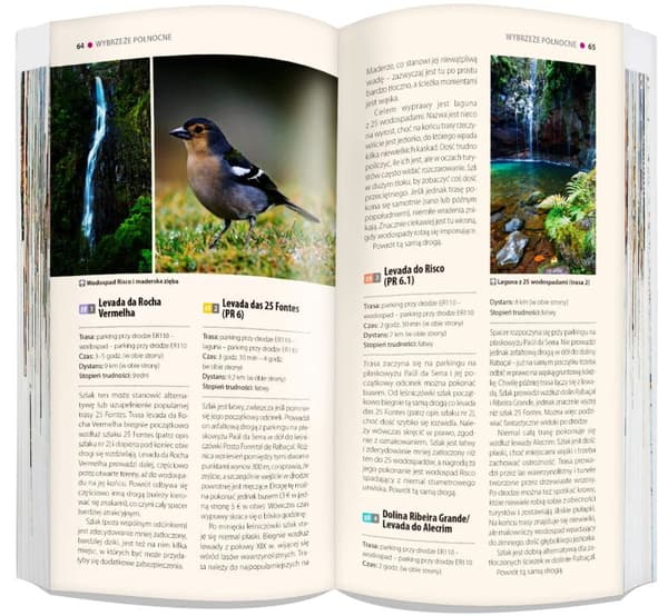 Madeira. Lätt guide + laminerad karta. 2024 års upplaga. ExpressMap | CDON