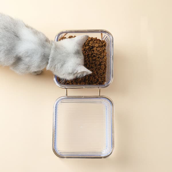 Transparent lutande mun Upphöjda husdjursskålar - Upphöjd kattmats- och ...