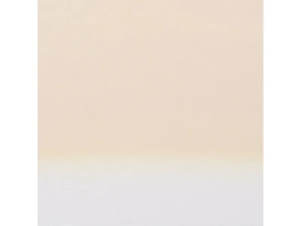 Amsterdam Spray Paint Titanium Buff Light 289 | CDON