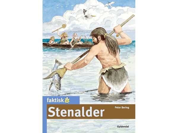 Stenåldern | Peter Bering | Språk: Danska | CDON