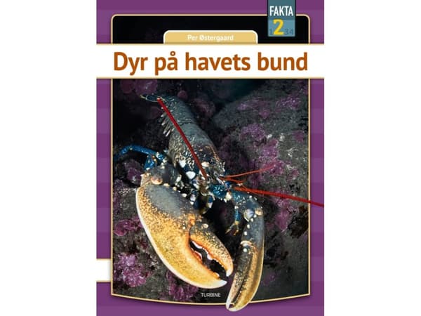 Dyr på havets bund | Per Østergaard | Språk: Dansk | CDON