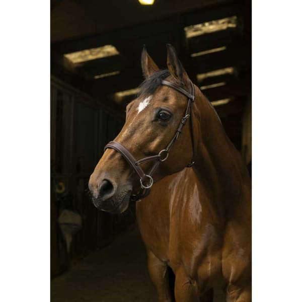 Norton Equestrian Grimma Side Pull Comfort Brun Cob | CDON